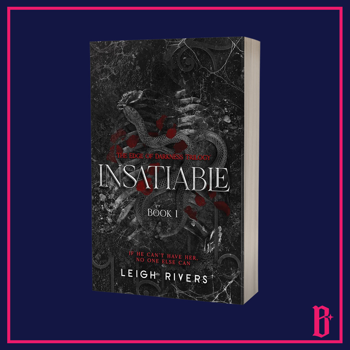 The Edge of Darkness Trilogy by Leigh Rivers – Baddies